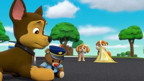 Season 3 316B Pups Save the Mayor's Tulips