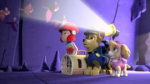 Season 1 121B Pups Save a Bat