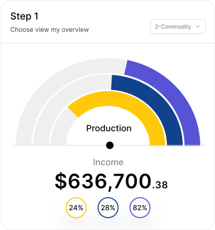 Supply Chain Analytics - Levadata