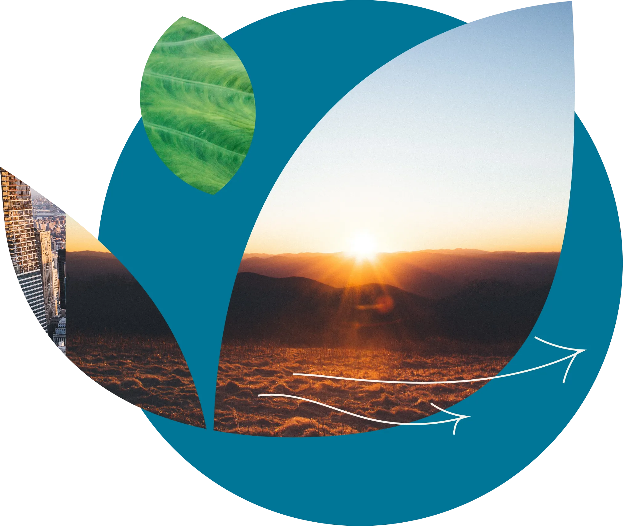 Formed: The Discipleship Wheel