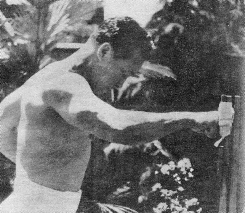 Kyokushin Karate: The Toughest Of All? | Combatpit