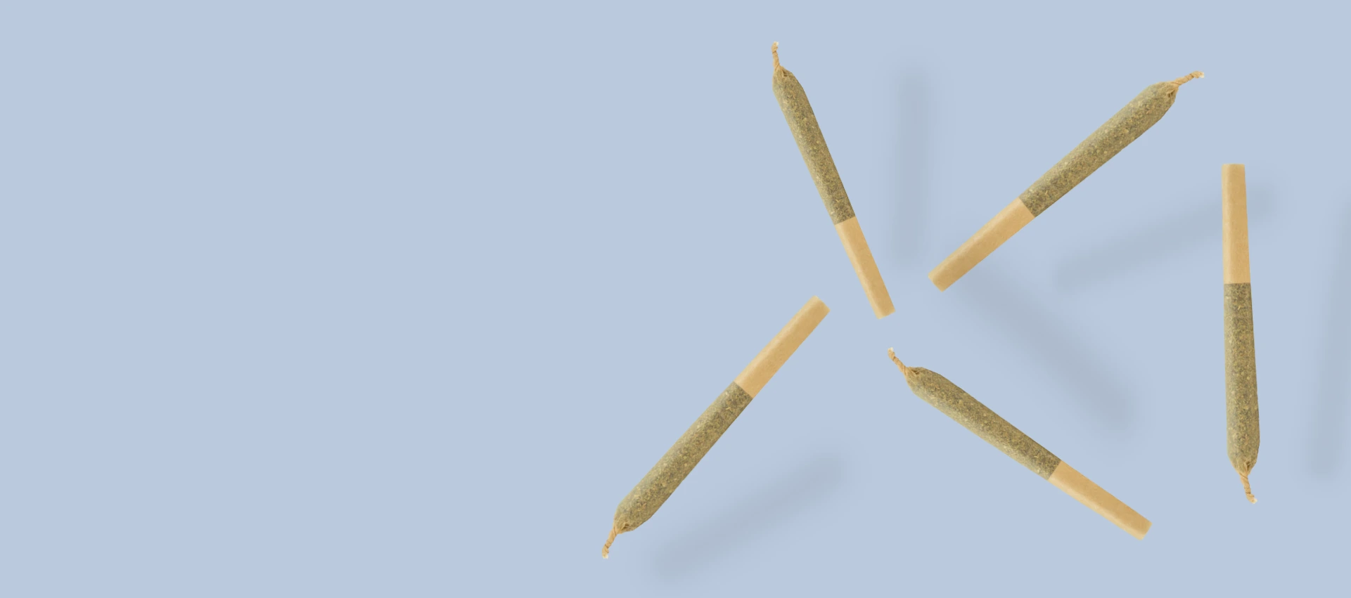 Sungrown Pre Rolled Joints: Explore Product, Options & Info | It's Primo