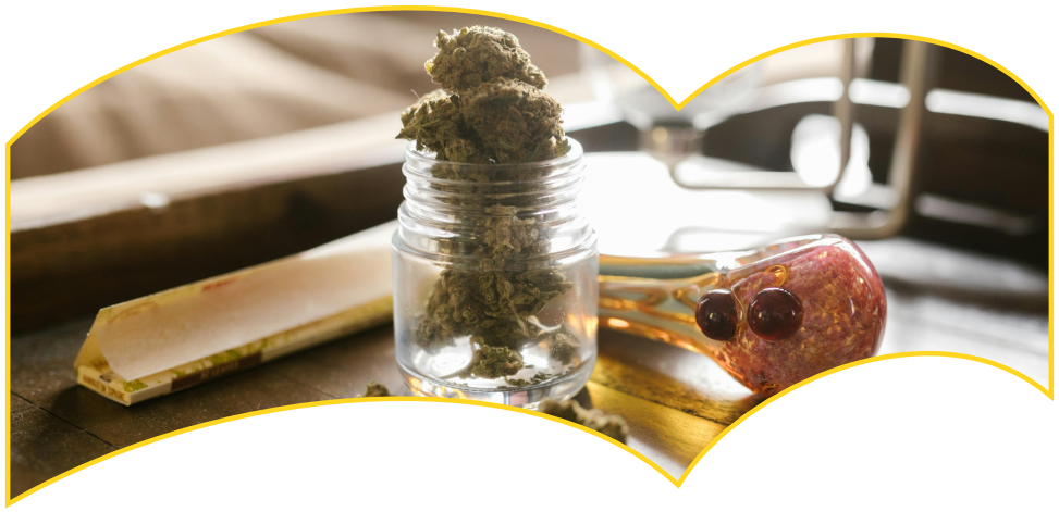 What Makes Dank Cannabis Dank? Unveiling the Secrets of Freshness ...