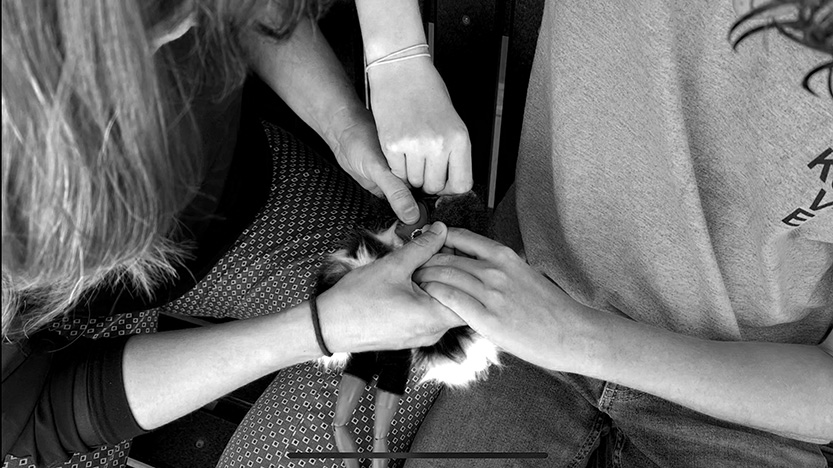 Study of Protactile Acquisition | MAC Lab - Gallaudet University