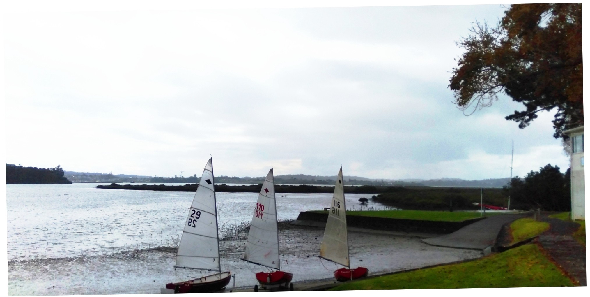 The Peninsula of the Dawn: Te Atatū and its living mudflats - A ...