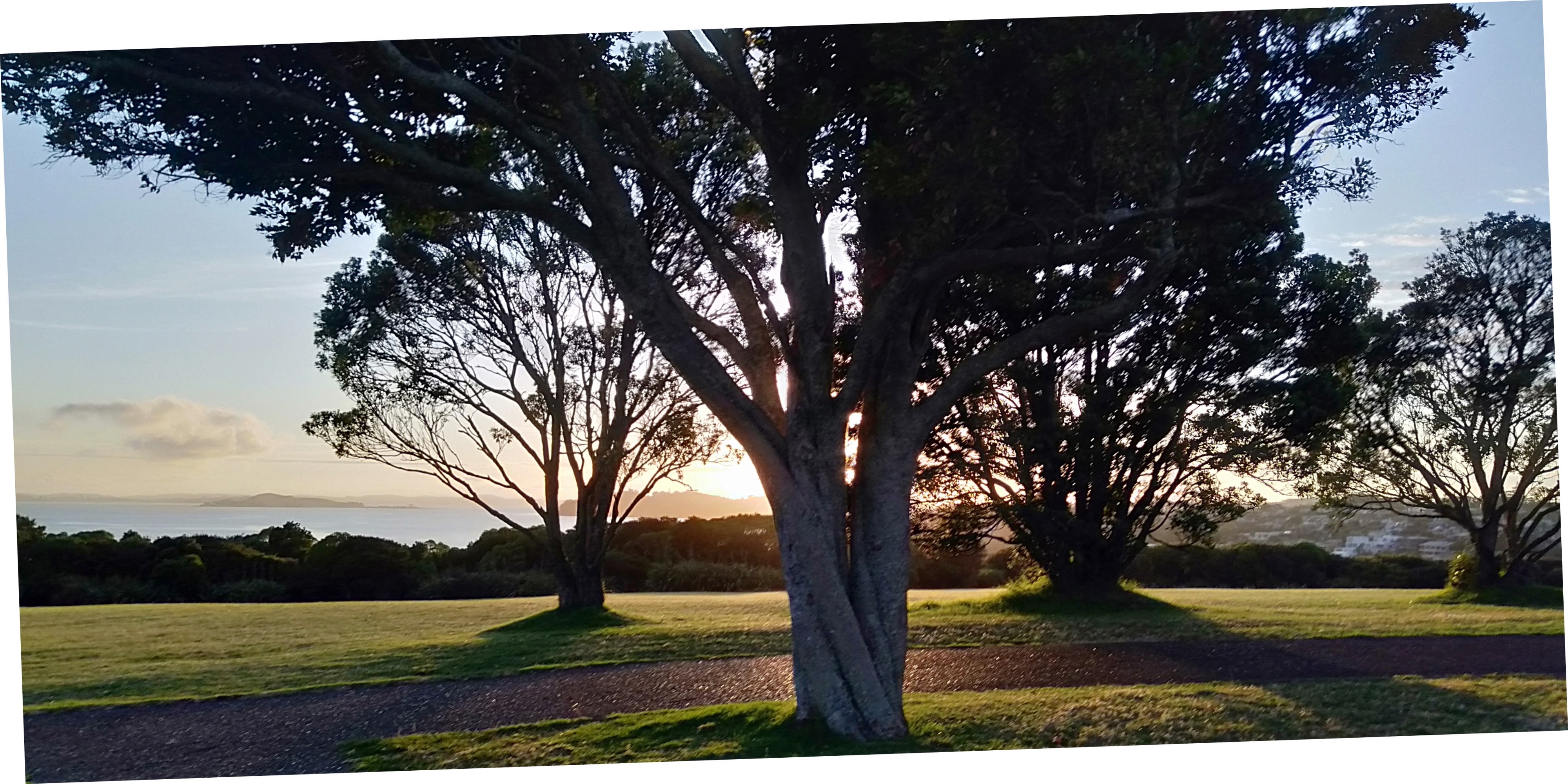 15 Best Places to see the Sunrise in Auckland, New Zealand: The City's ...