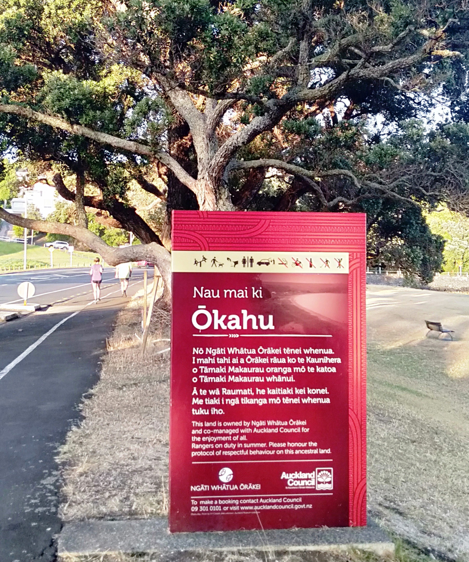 15 Best Places to see the Sunrise in Auckland, New Zealand: The City's ...