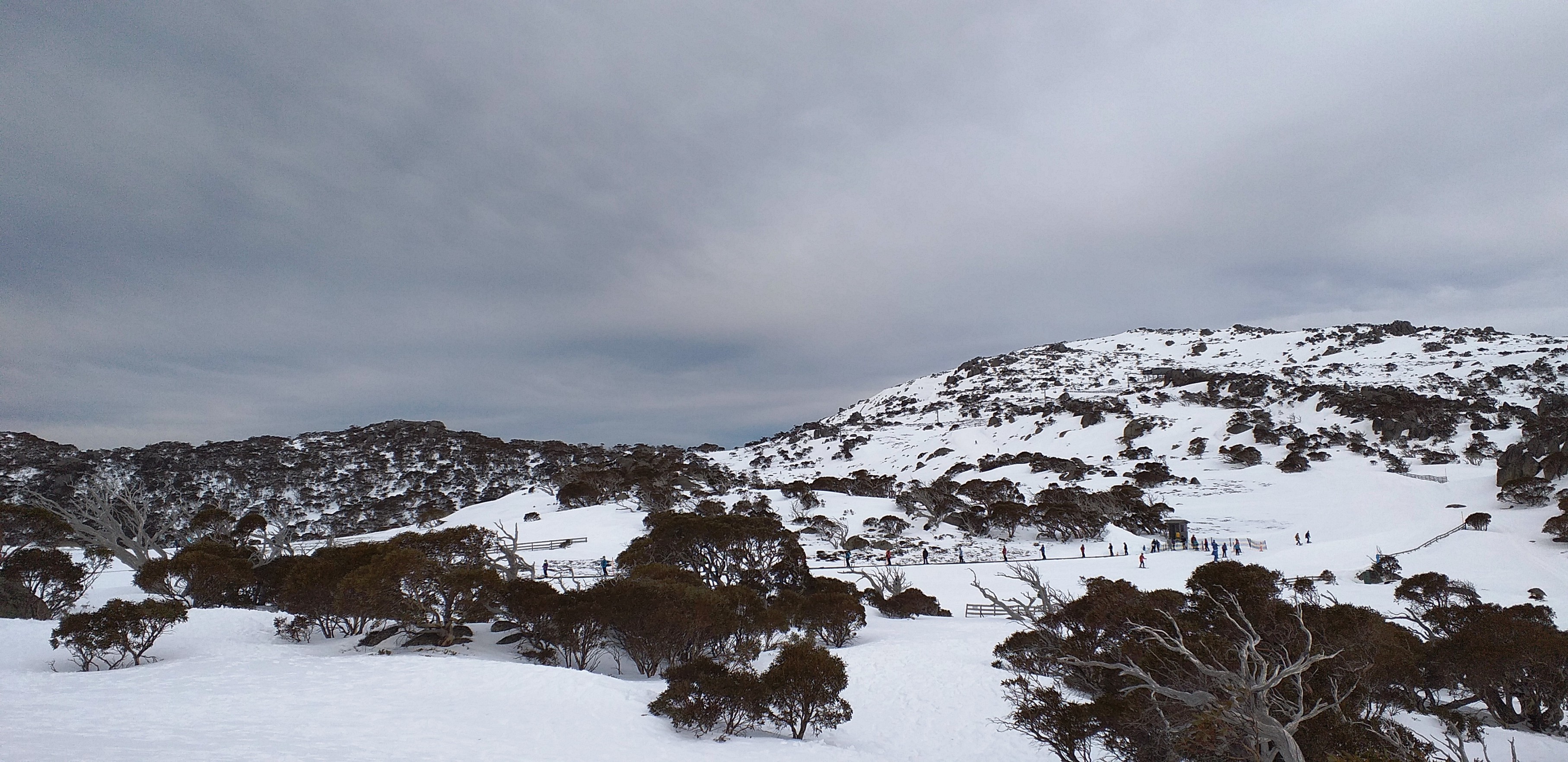 Australian Alps: a visit to the ski resorts of Perisher and Thredbo - A ...