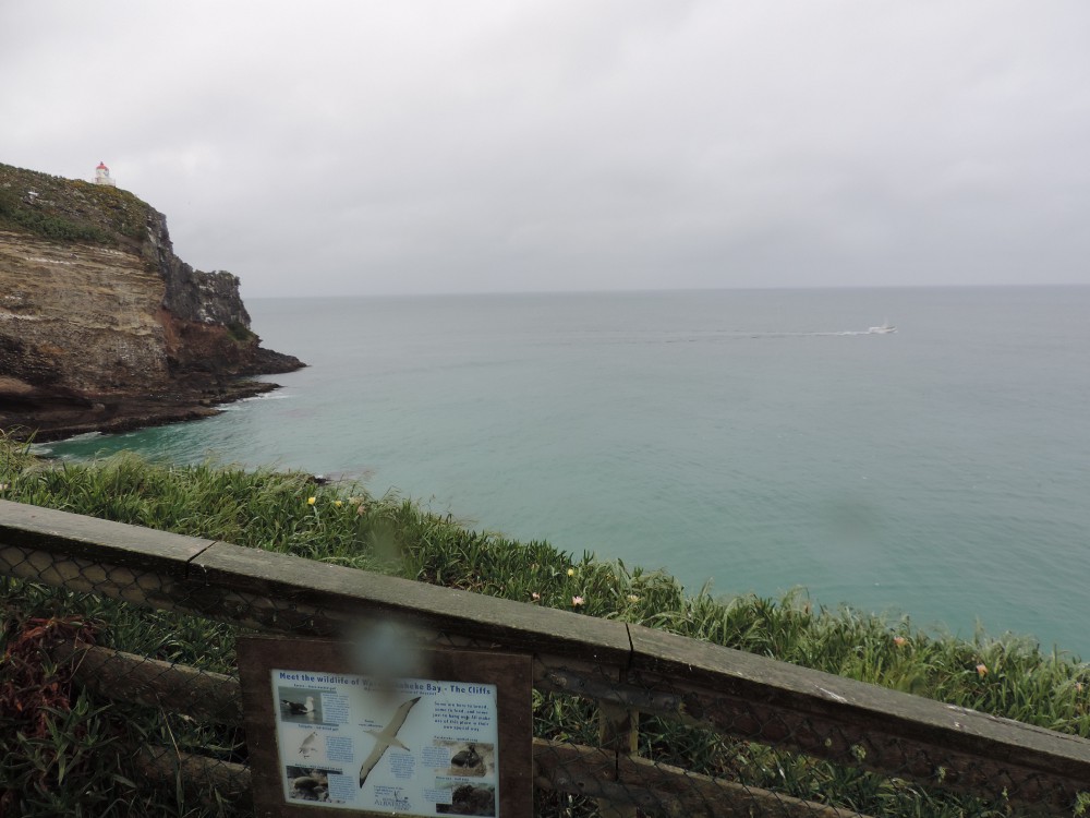 Sounding out Dunedin - A Maverick Traveller