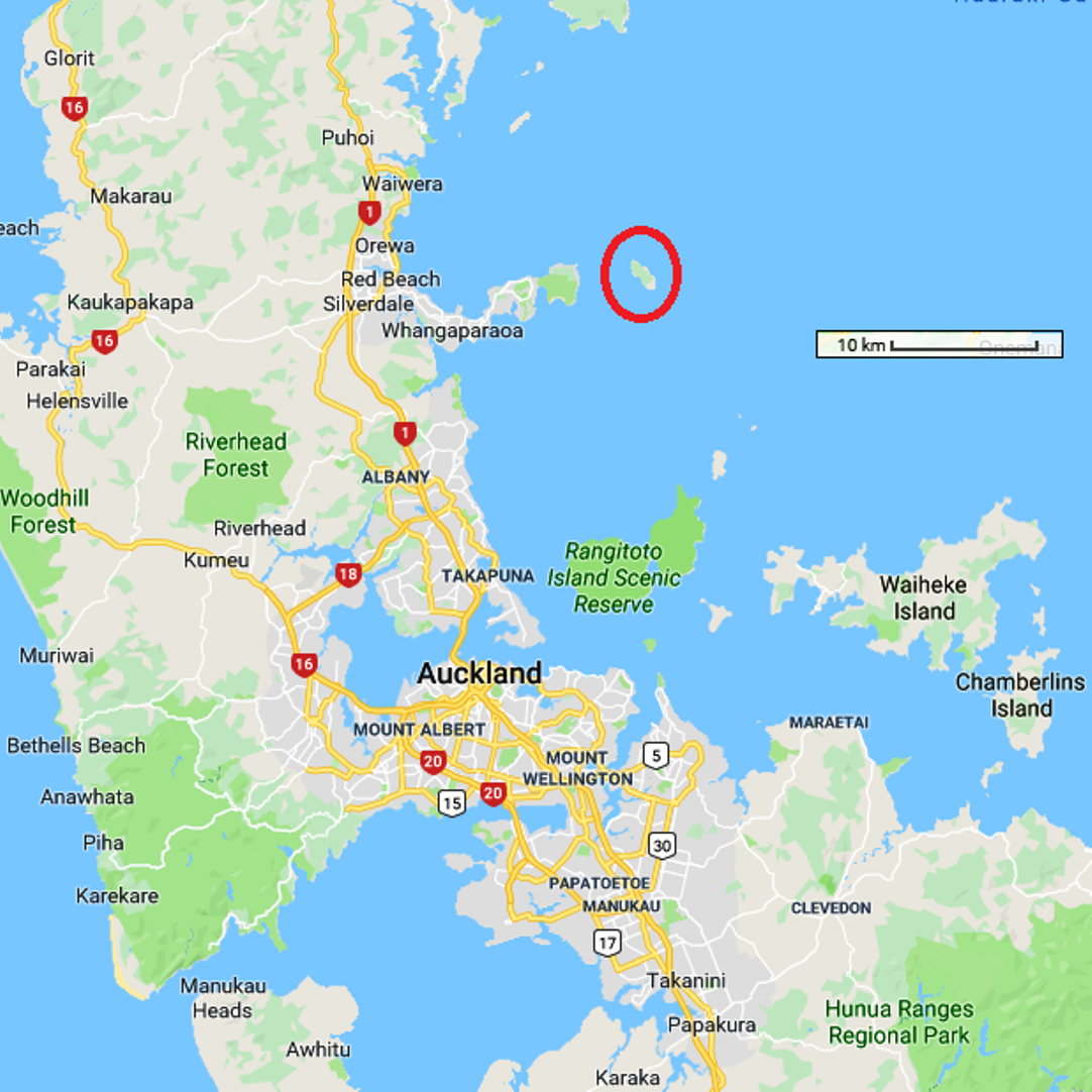 'Tossed by the Wind': The rare and remarkable creatures of Tiritiri ...