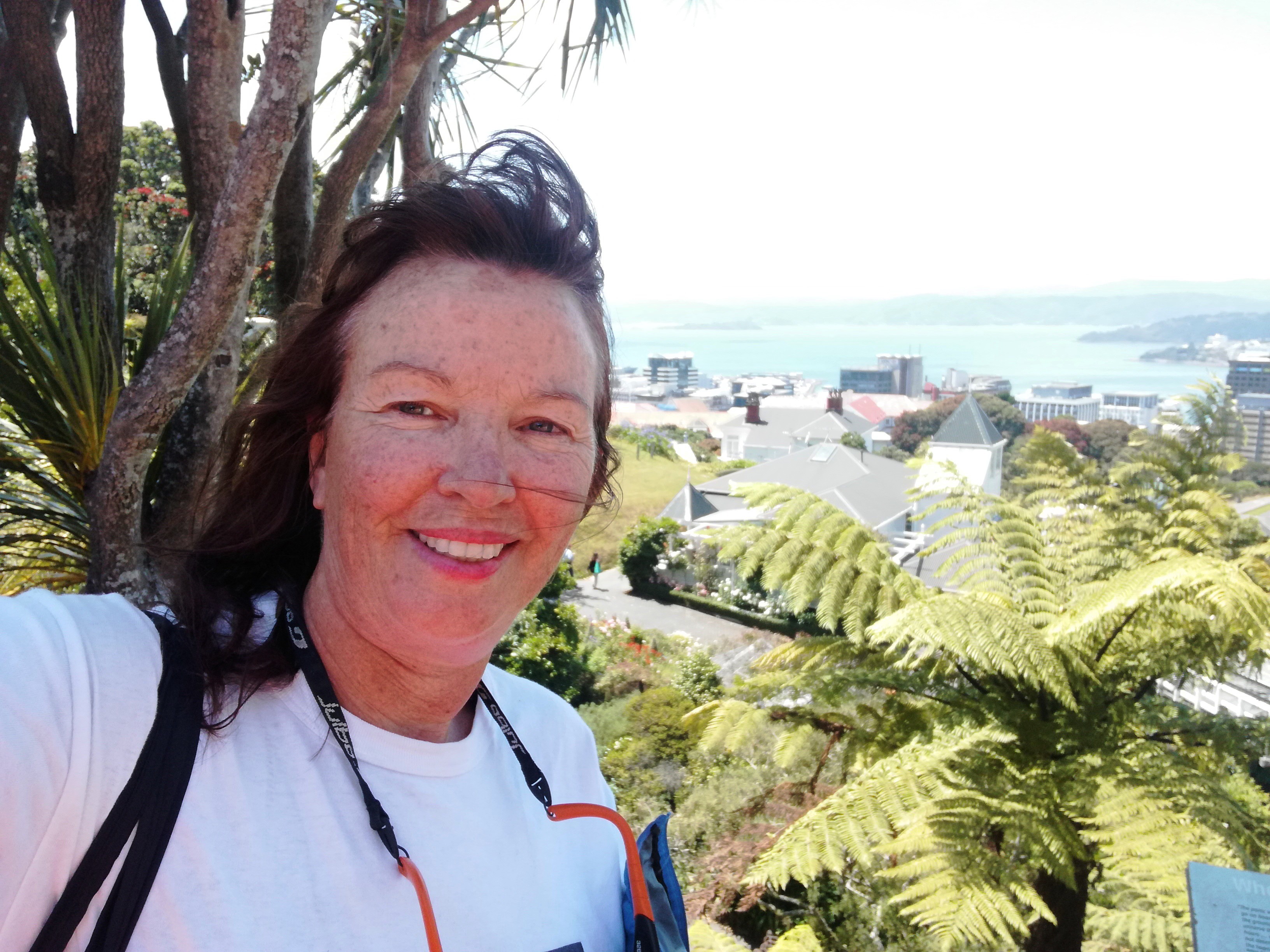 Wild, Weird, Windy Wellington: A capital city at 'the head of Māui’s ...