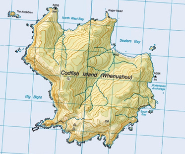 Whenua Hou: Codfish Island and the few Kākāpō Left - A Maverick Traveller