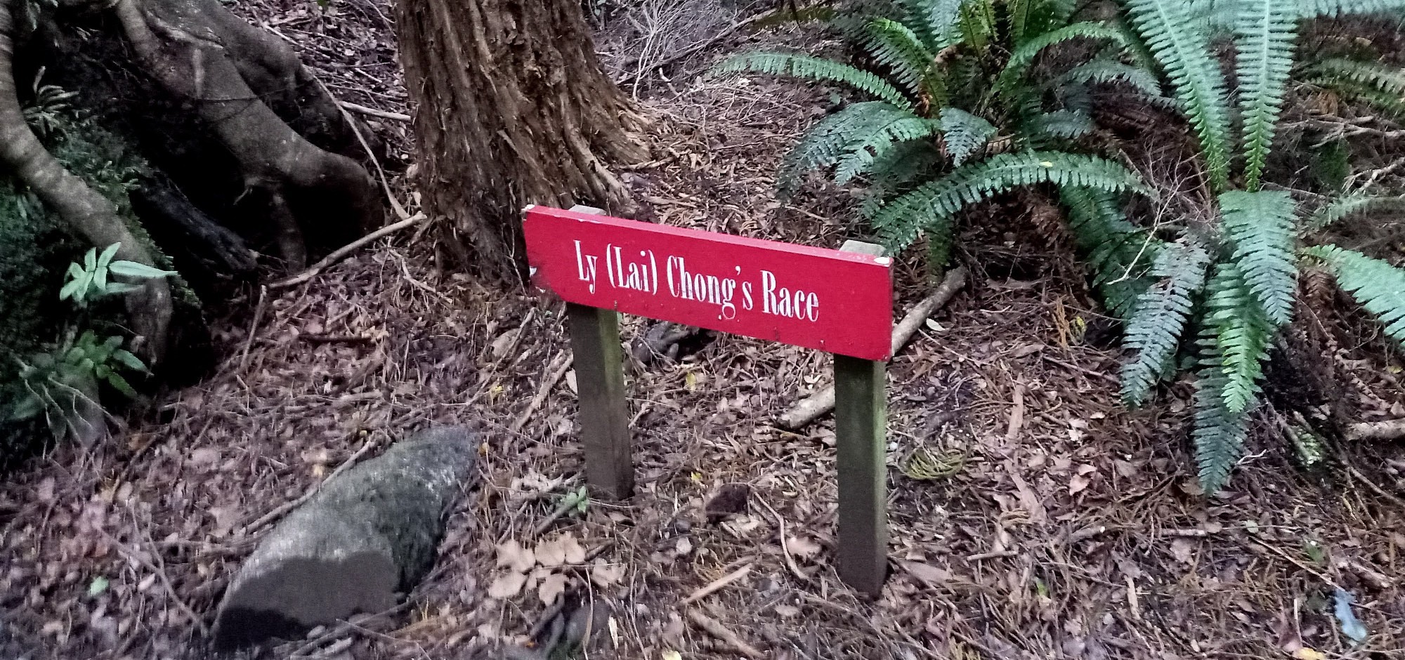 Wild South: The undiscovered beaches past Riverton-Aparima, west of ...