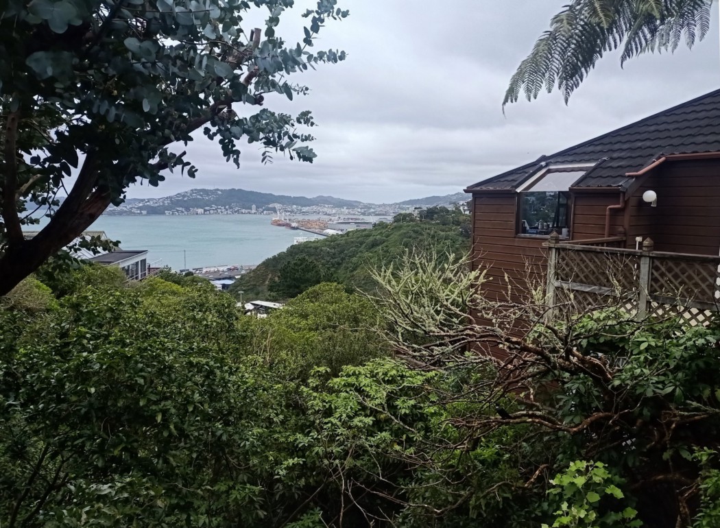 Wild, Weird, Windy Wellington: A capital city at 'the head of Māui’s ...