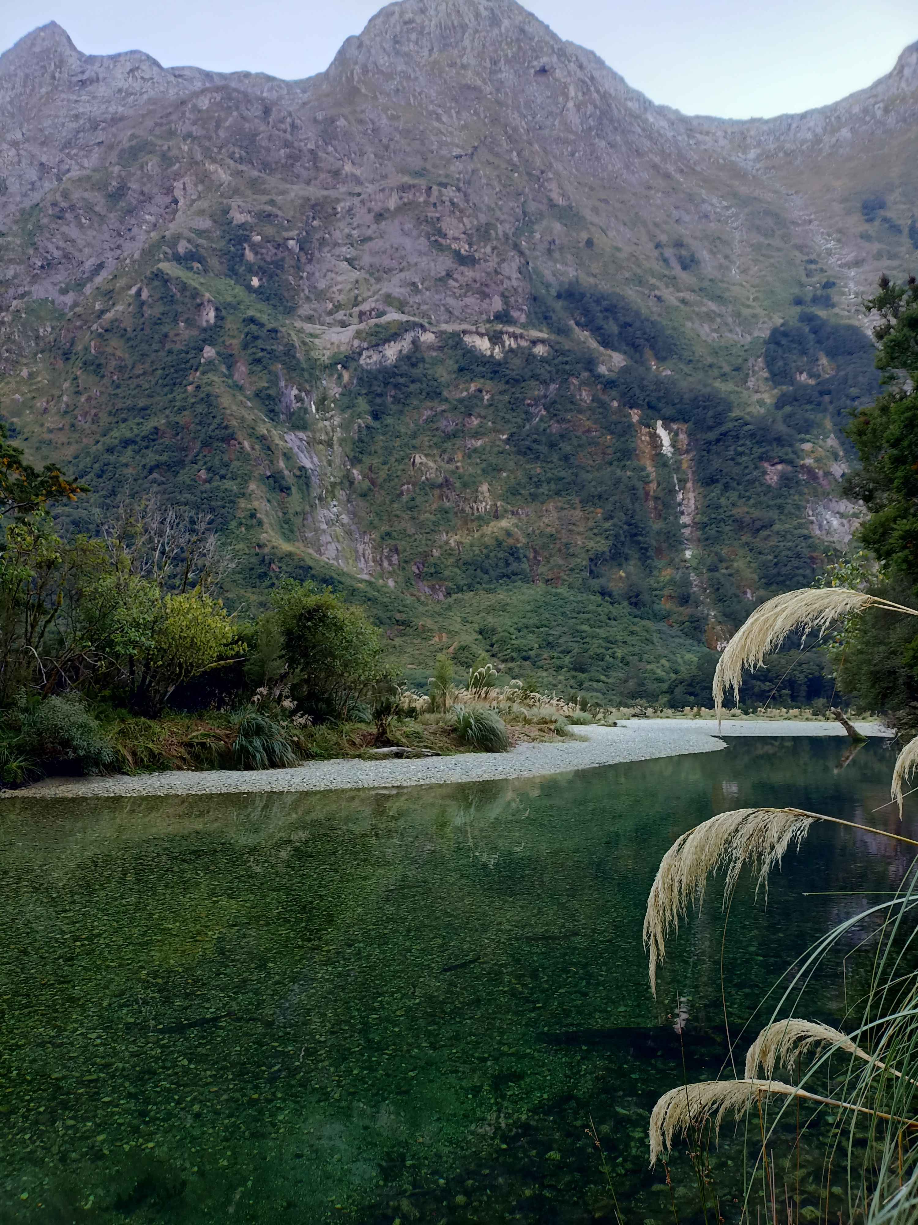 The Milford Track Revisited - A Maverick Traveller