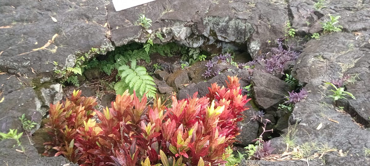 Savai‘i: The Big Island of Sāmoa - A Maverick Traveller