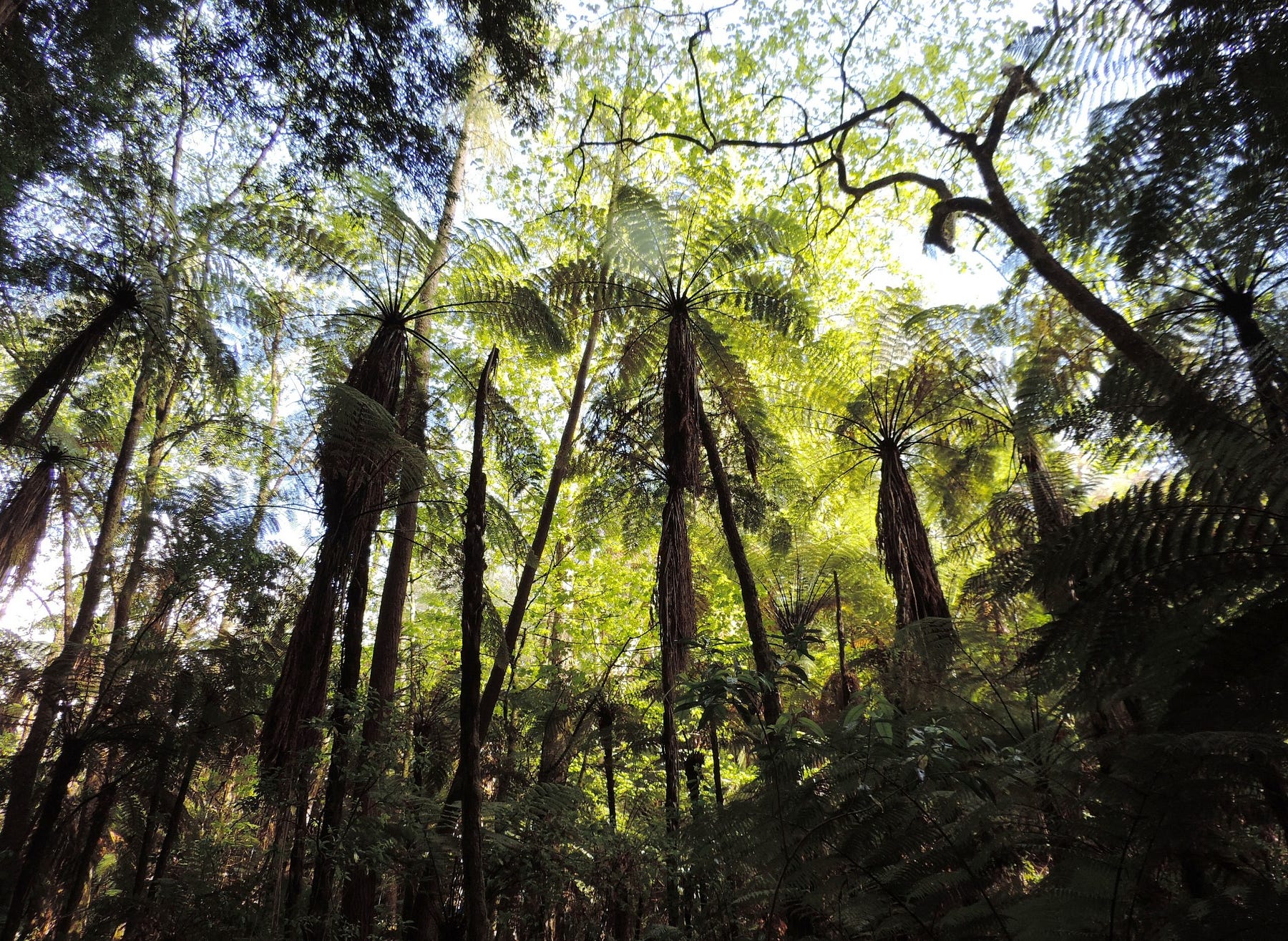 The Real Jurassic Park - A Maverick Traveller