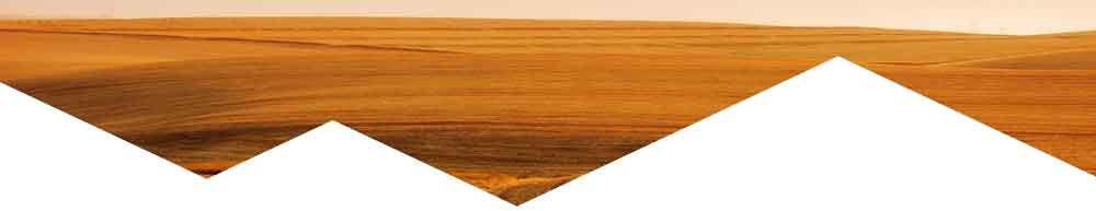 Free Web Design Shape Dividers Pack [50+ Dividers]