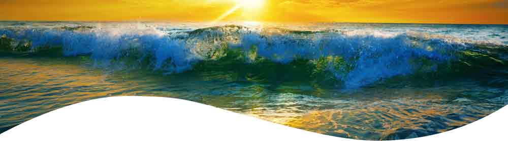 Free Web Design Shape Dividers Pack [50+ Dividers]