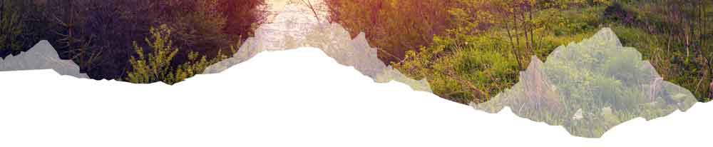 Free Web Design Shape Dividers Pack [50+ Dividers]