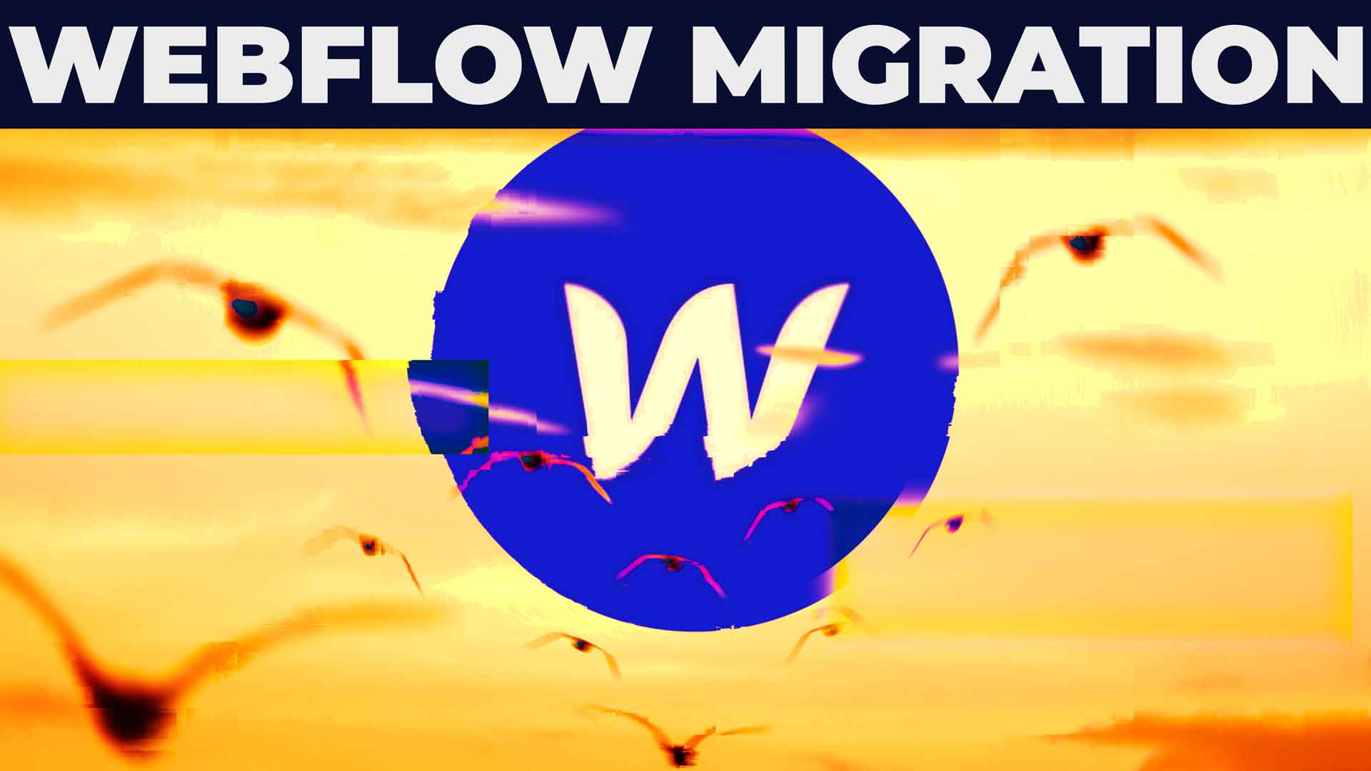 The Ultimate Guide to Migrating to Webflow (Free Checklist)