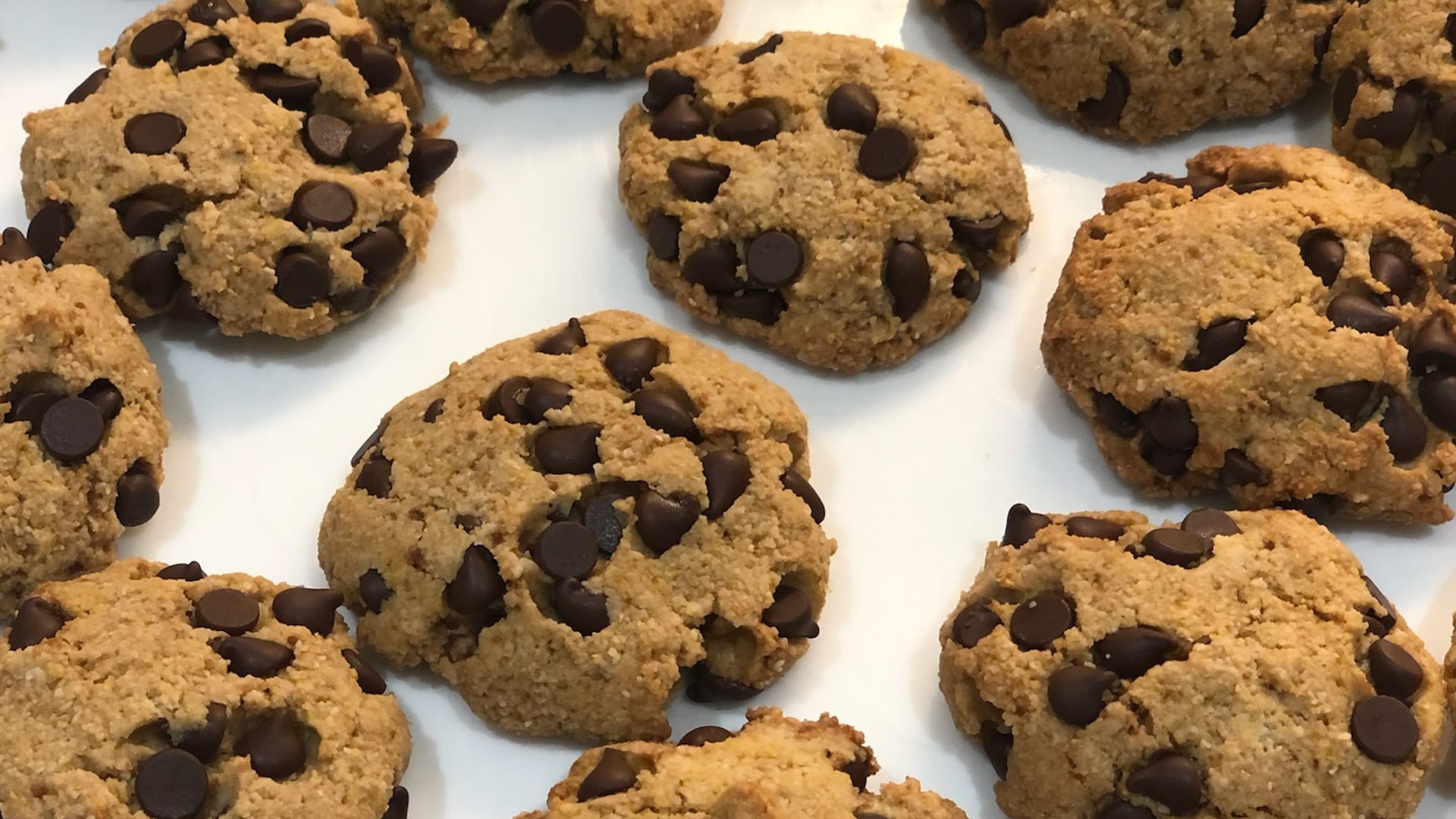 Mini Chocolate Chip Cookies