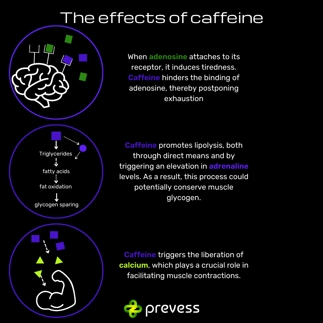 Unraveling the Mechanisms of Caffeine: How Does it Work?