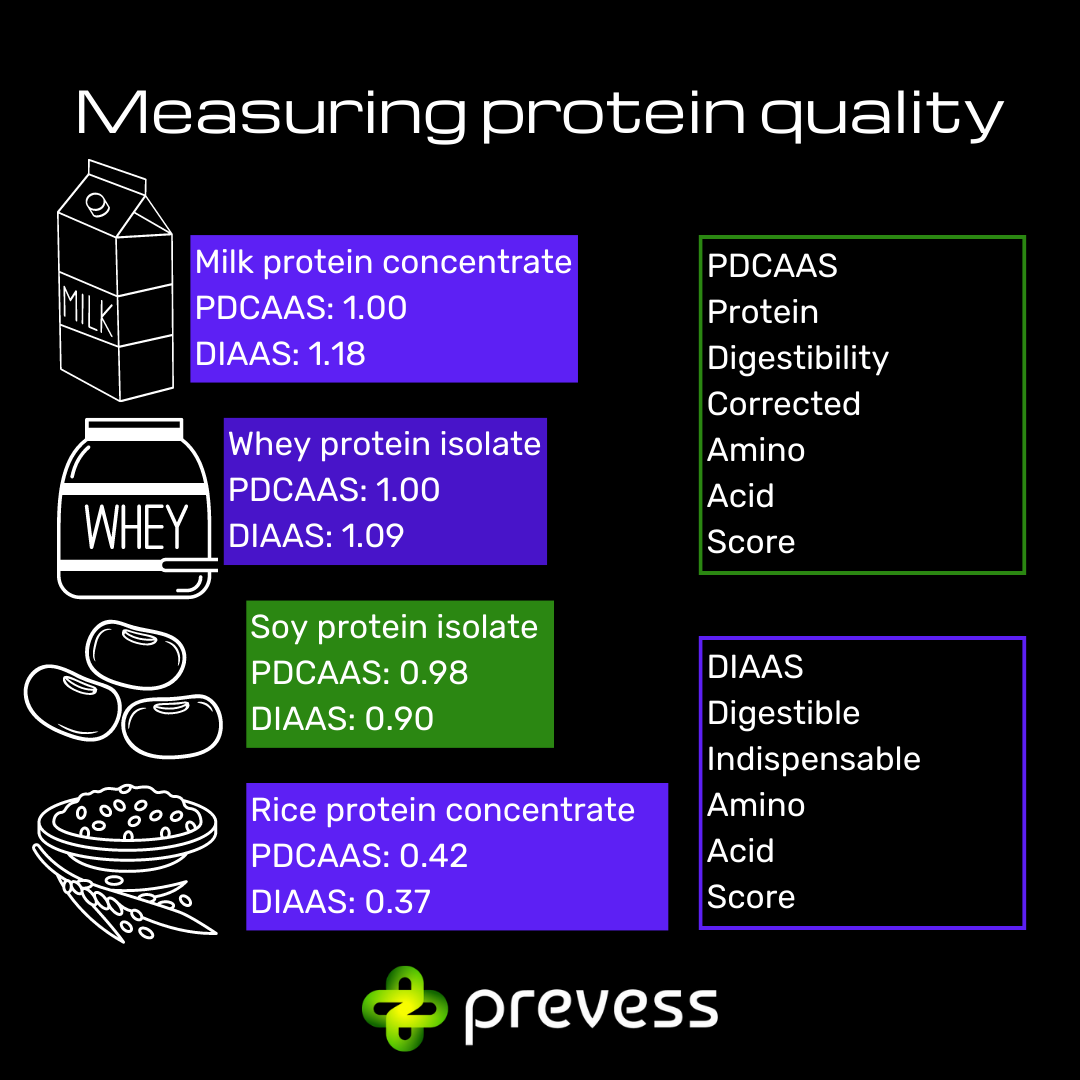 Plant-Based Protein Powders: A Viable Alternative for Optimal Health ...