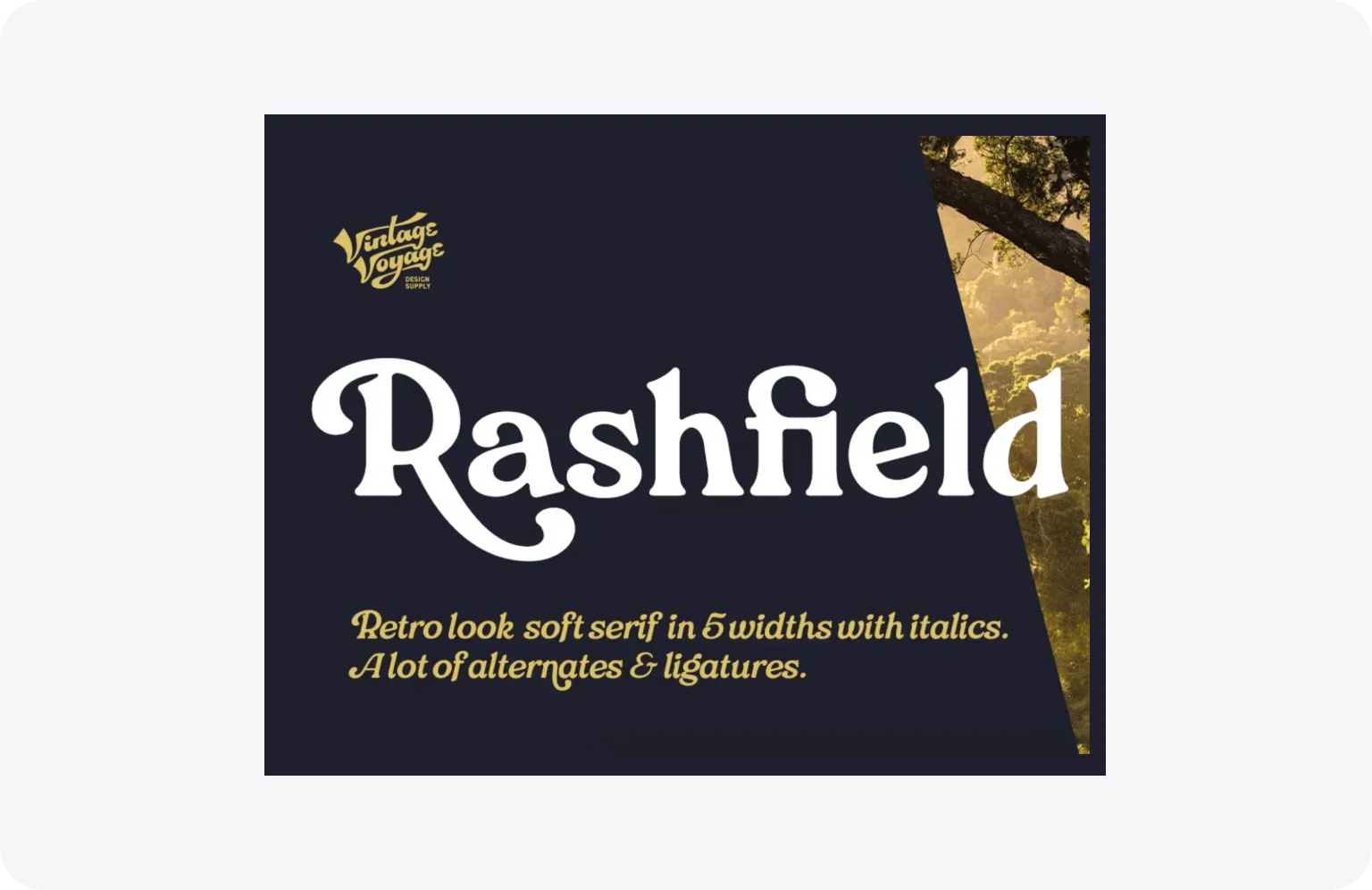 24 Best Serif Font To Suits for Your Brand and Website — Halo Lab