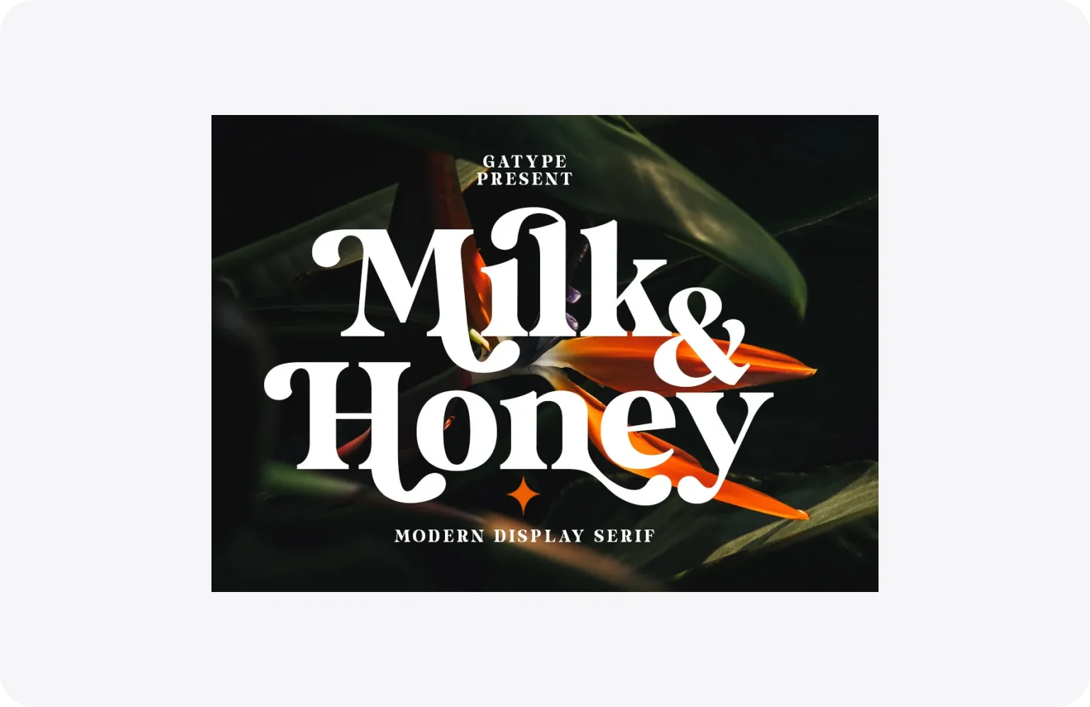 24 Best Serif Font To Suits for Your Brand and Website — Halo Lab