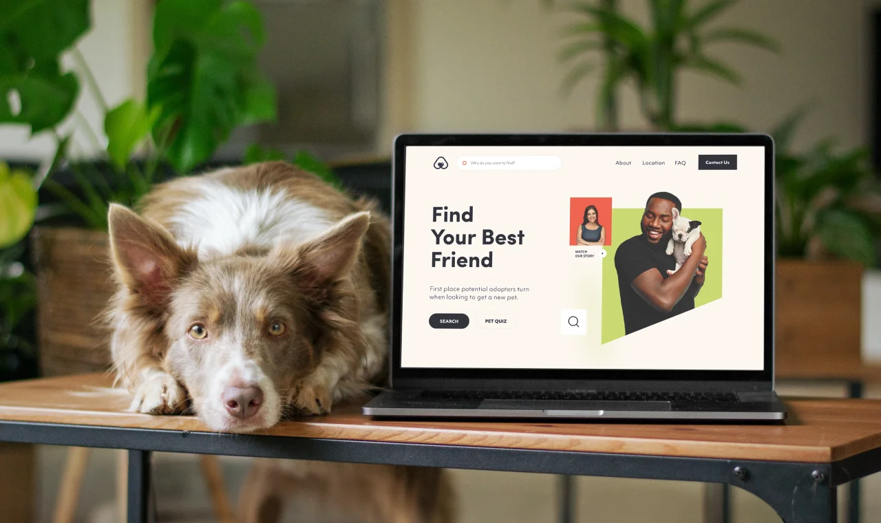 Petz: A cheerful take on branding to help house our furry friends ...