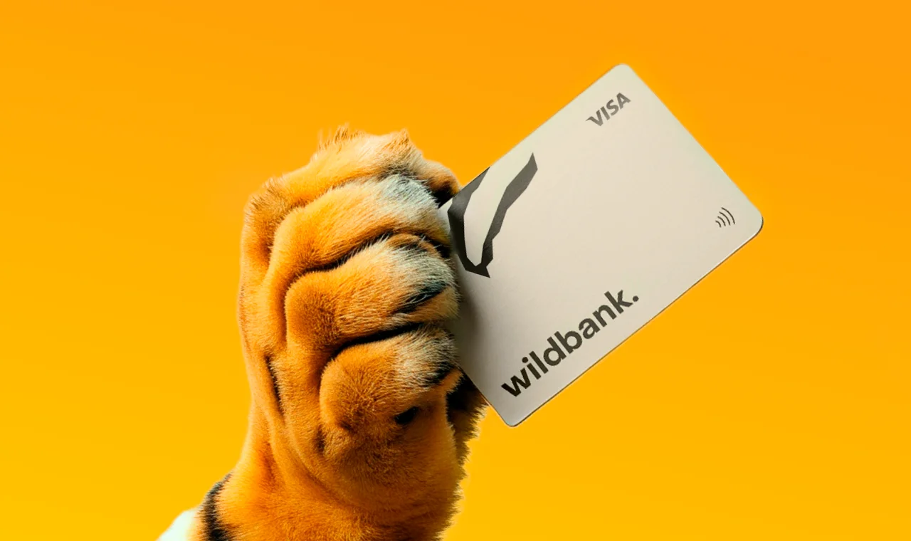 Brand Identity for Online Banking that Banks on Earth’s Future — Halo Lab