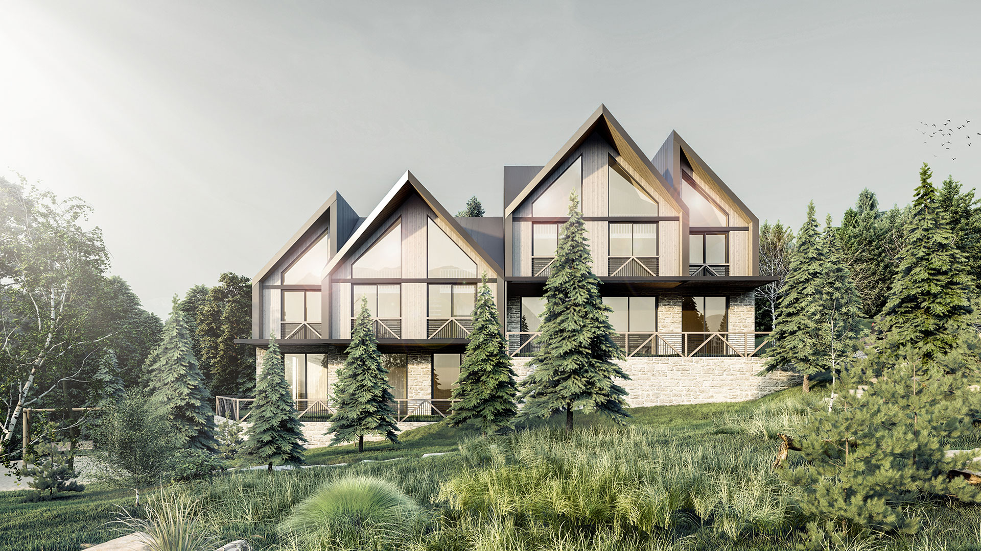 Monte Pine - A12 Project - Podgorica