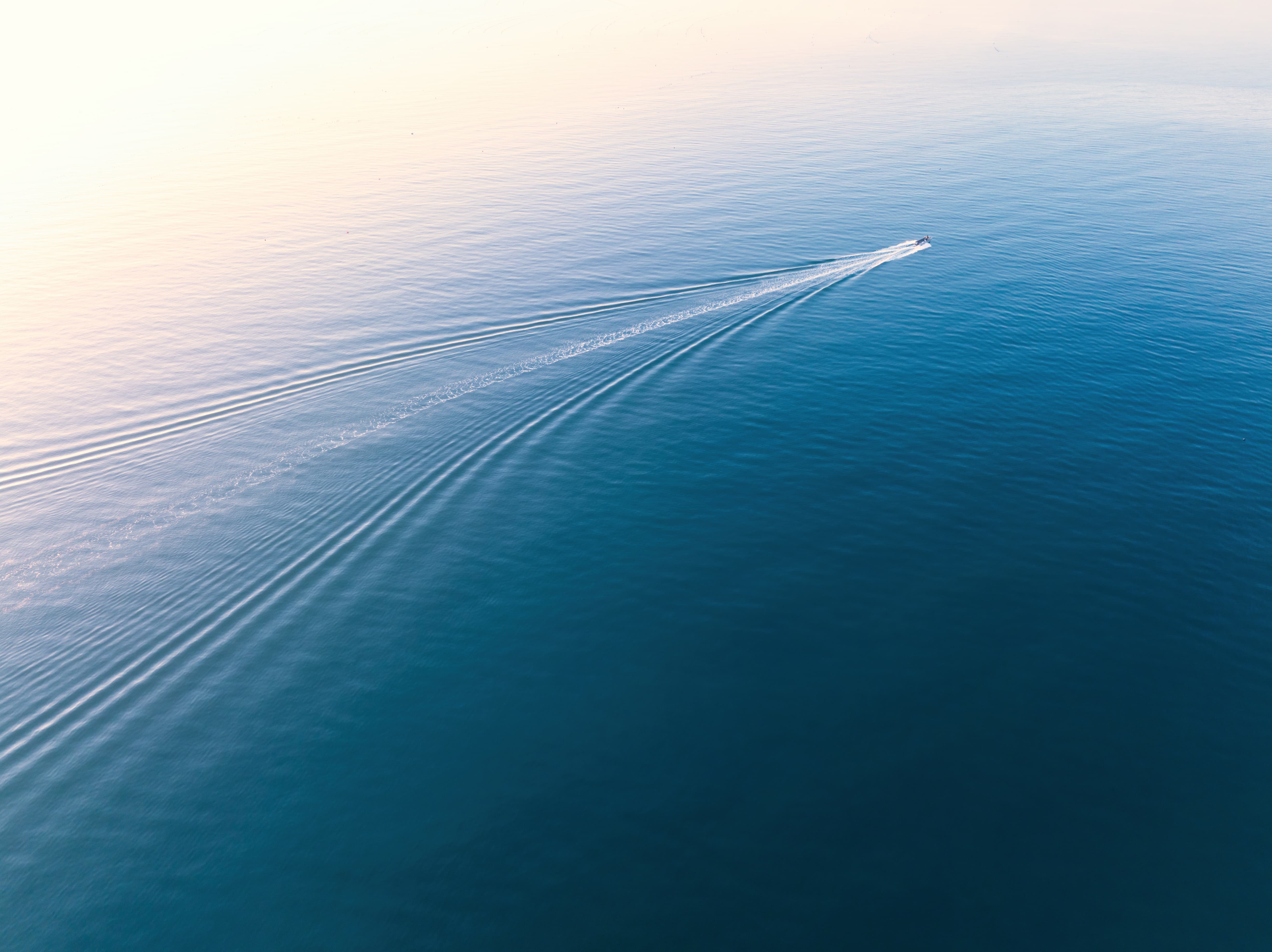 Blocking & Trapping Insurance