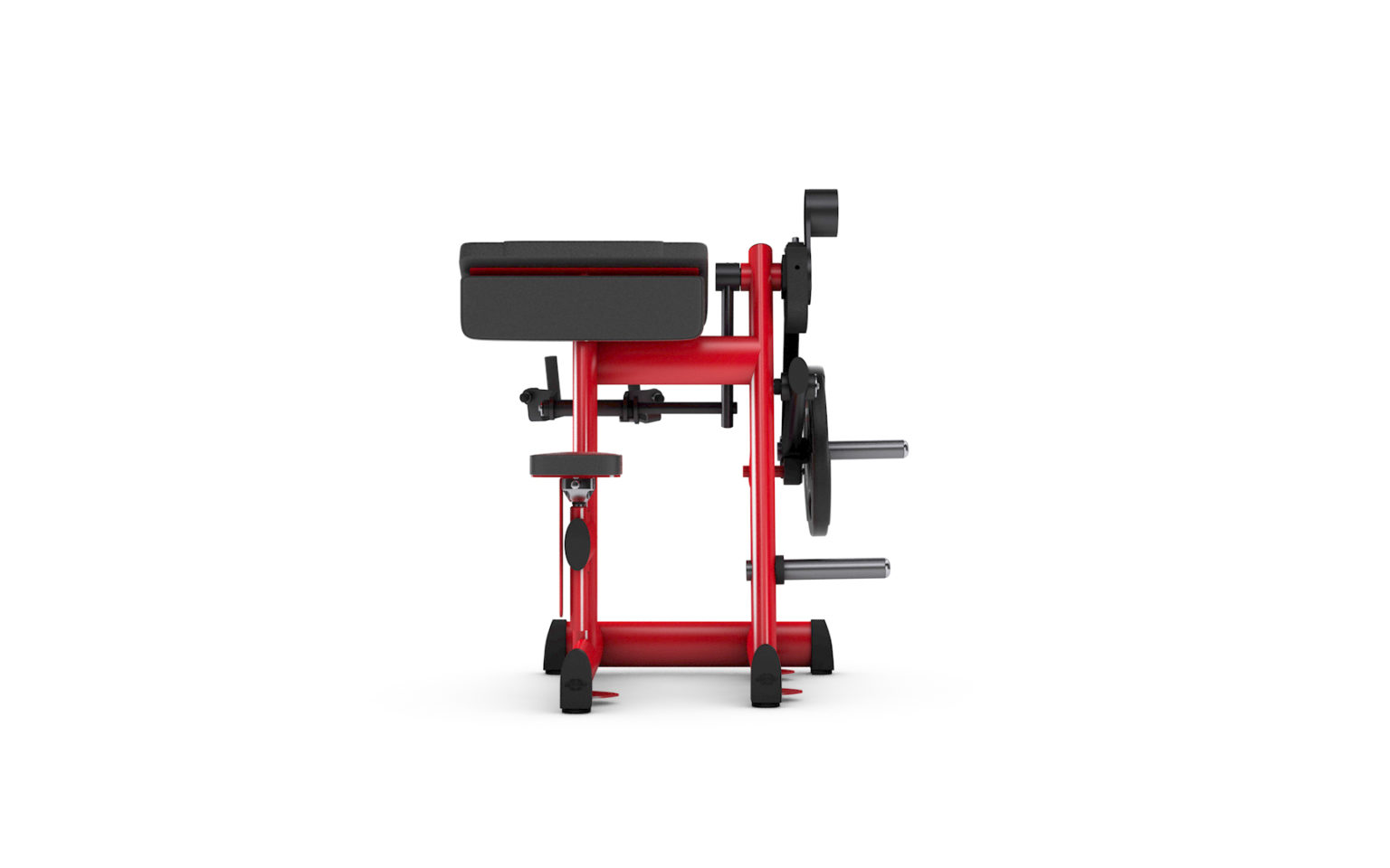 PURE KRAFT BICEPS CURL | Gym80