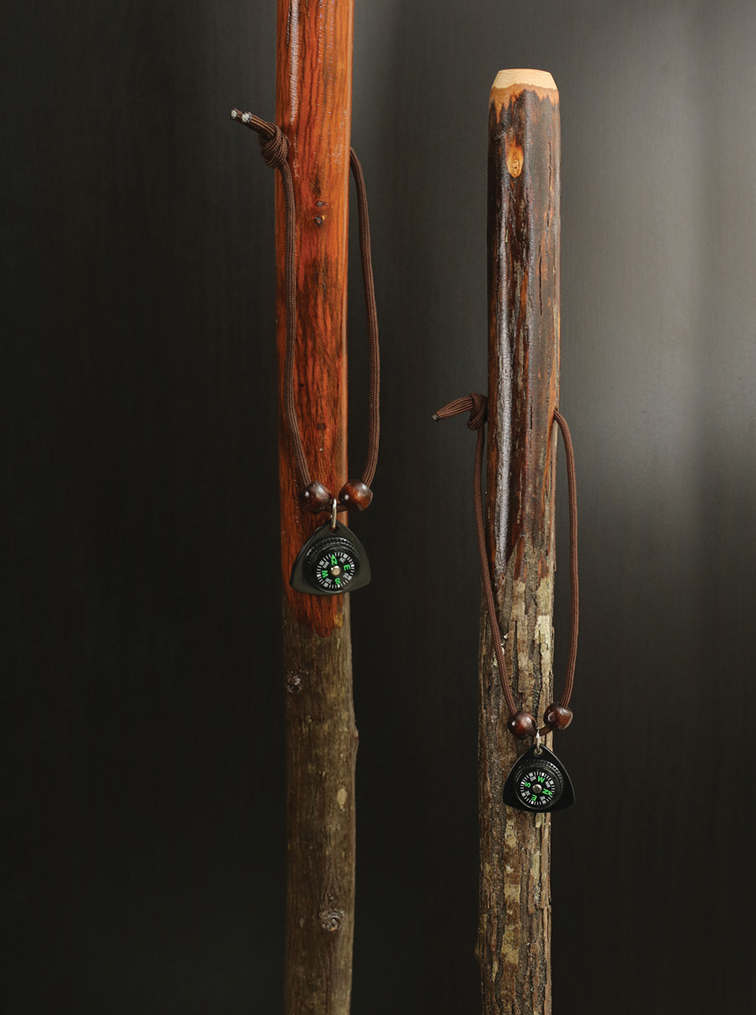 Rocky Mountain Walking Sticks