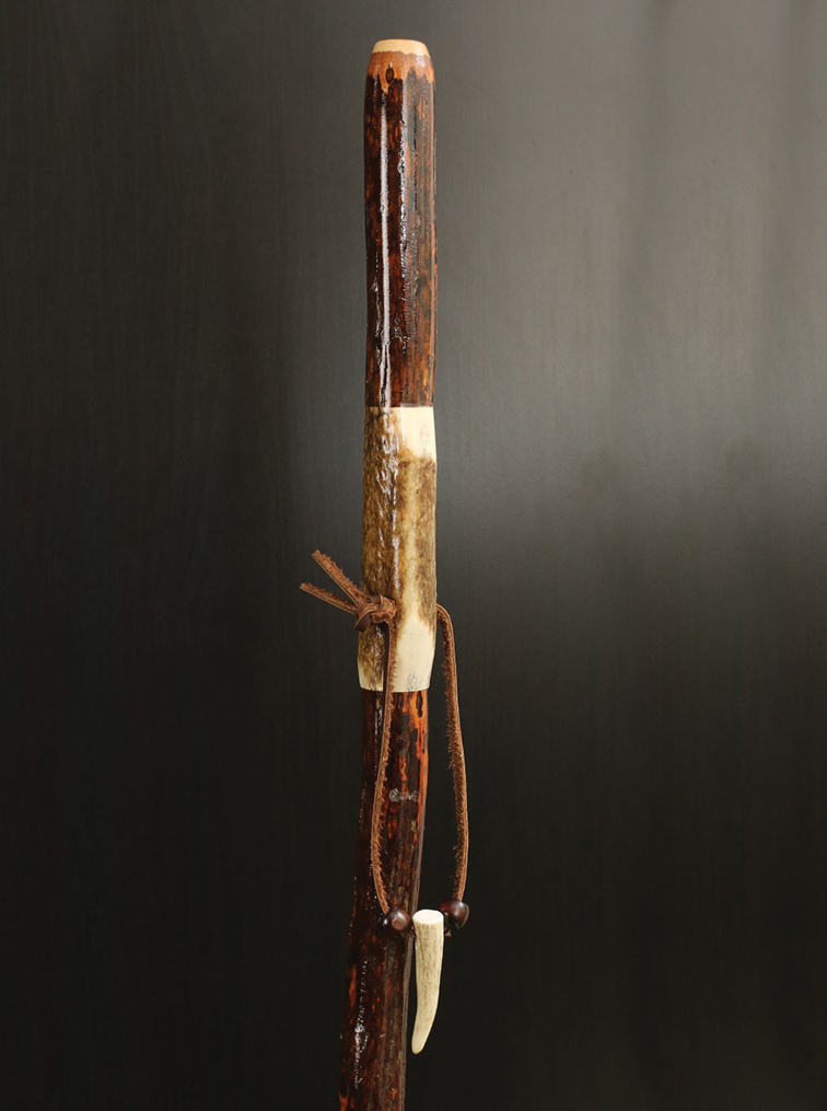 Rocky Mountain Walking Sticks