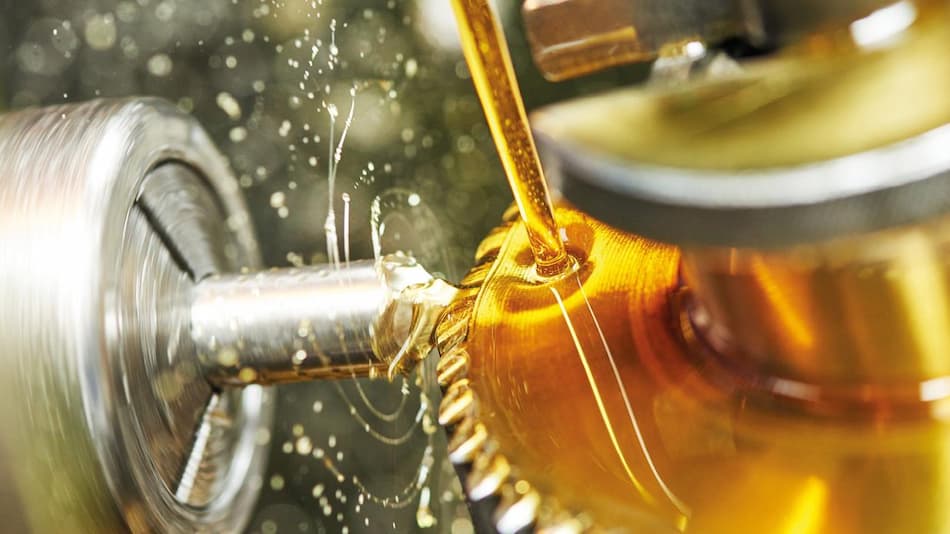 The Dangers Of Seed Oils | Blog | The Fittest