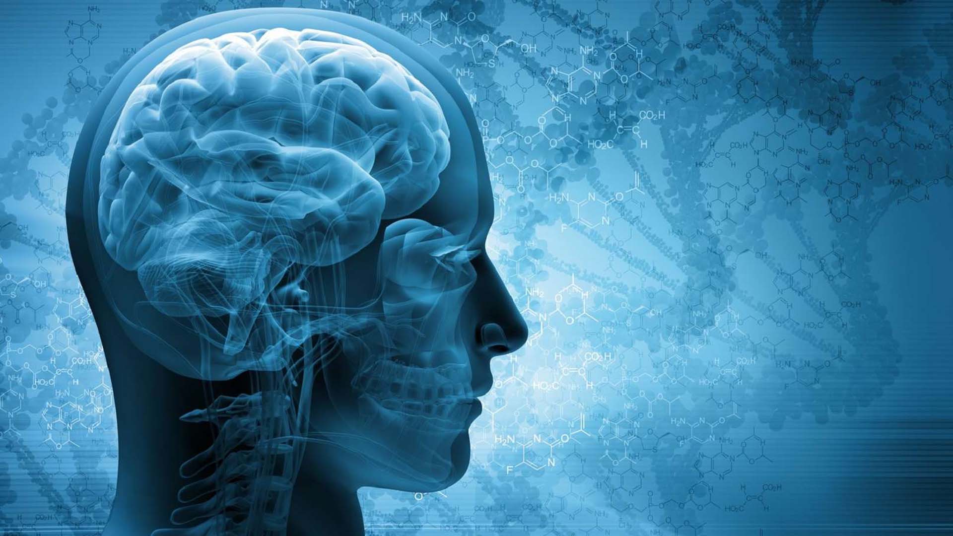 Natures Balance | Nootropics & Cognitive Health
