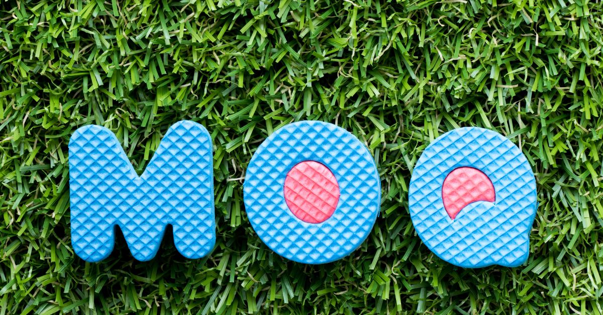 MOQ Meaning: A Guide for Alibaba & China Factory Sourcing