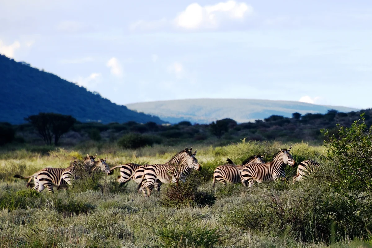 Jagdgefahrte - Unser starkes Partnernetzwerk - deine Vorteile