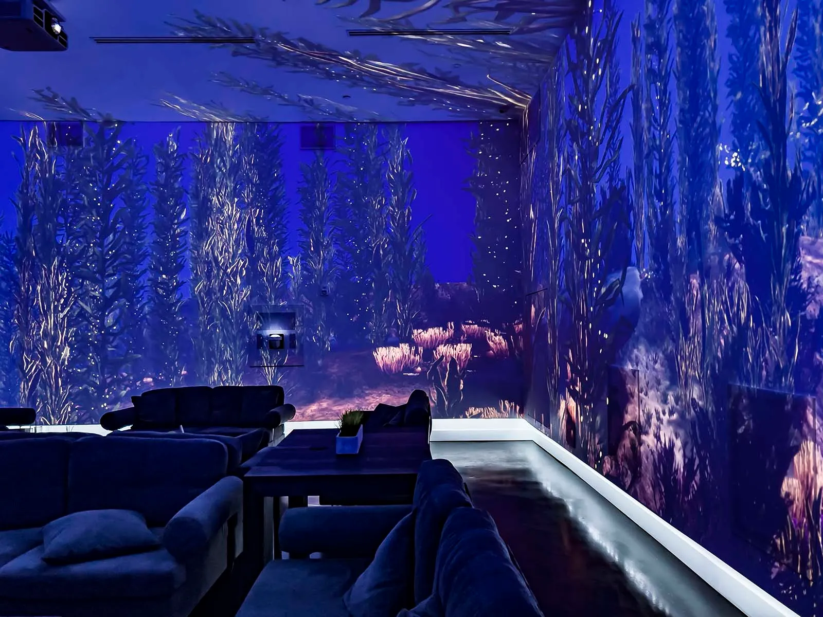 Systems Integration | Clair Global