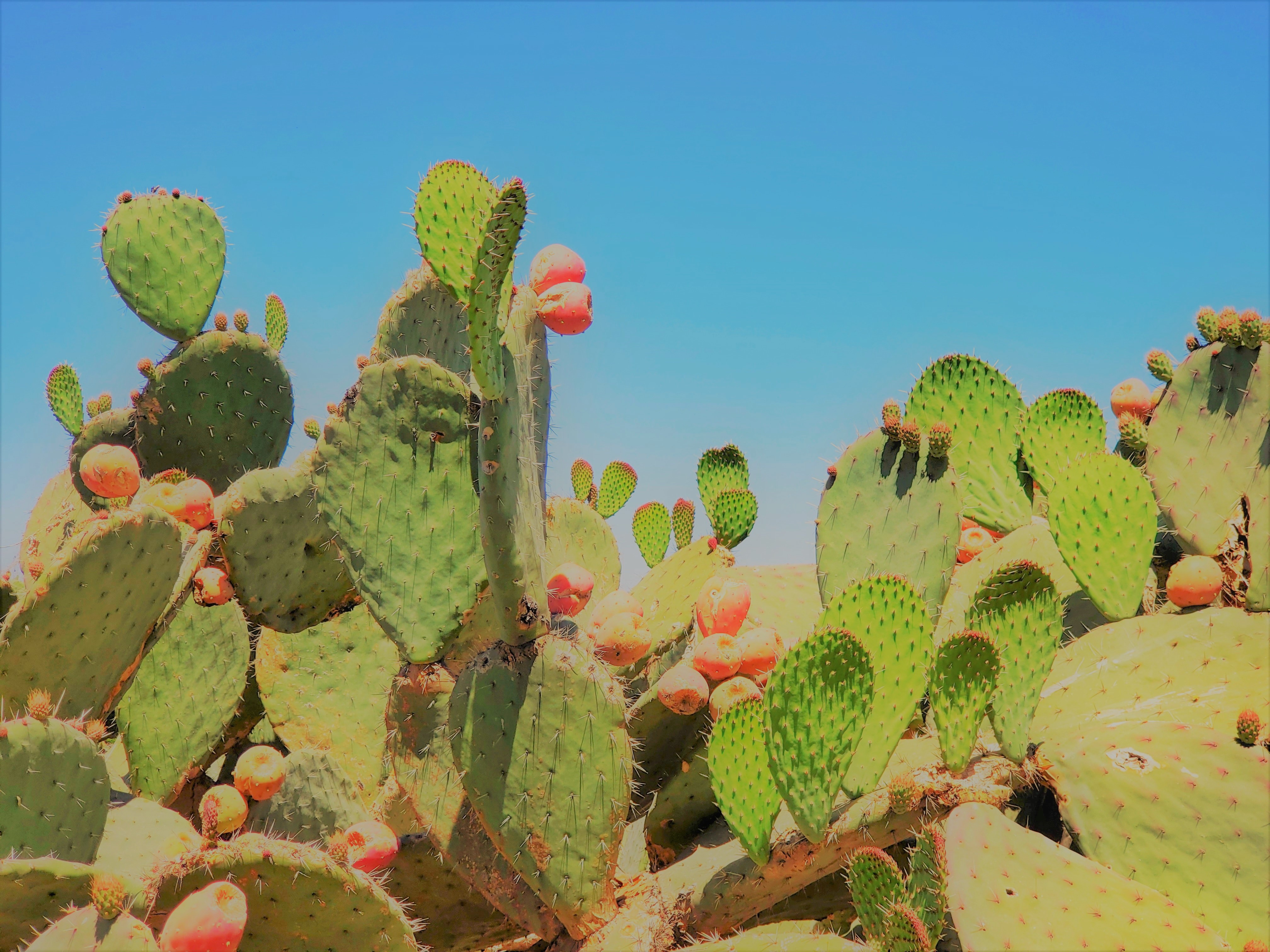 Deeper Signals | How your Core Drivers become Core Risks