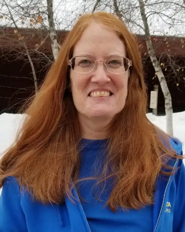 About Minnesota Landscapes