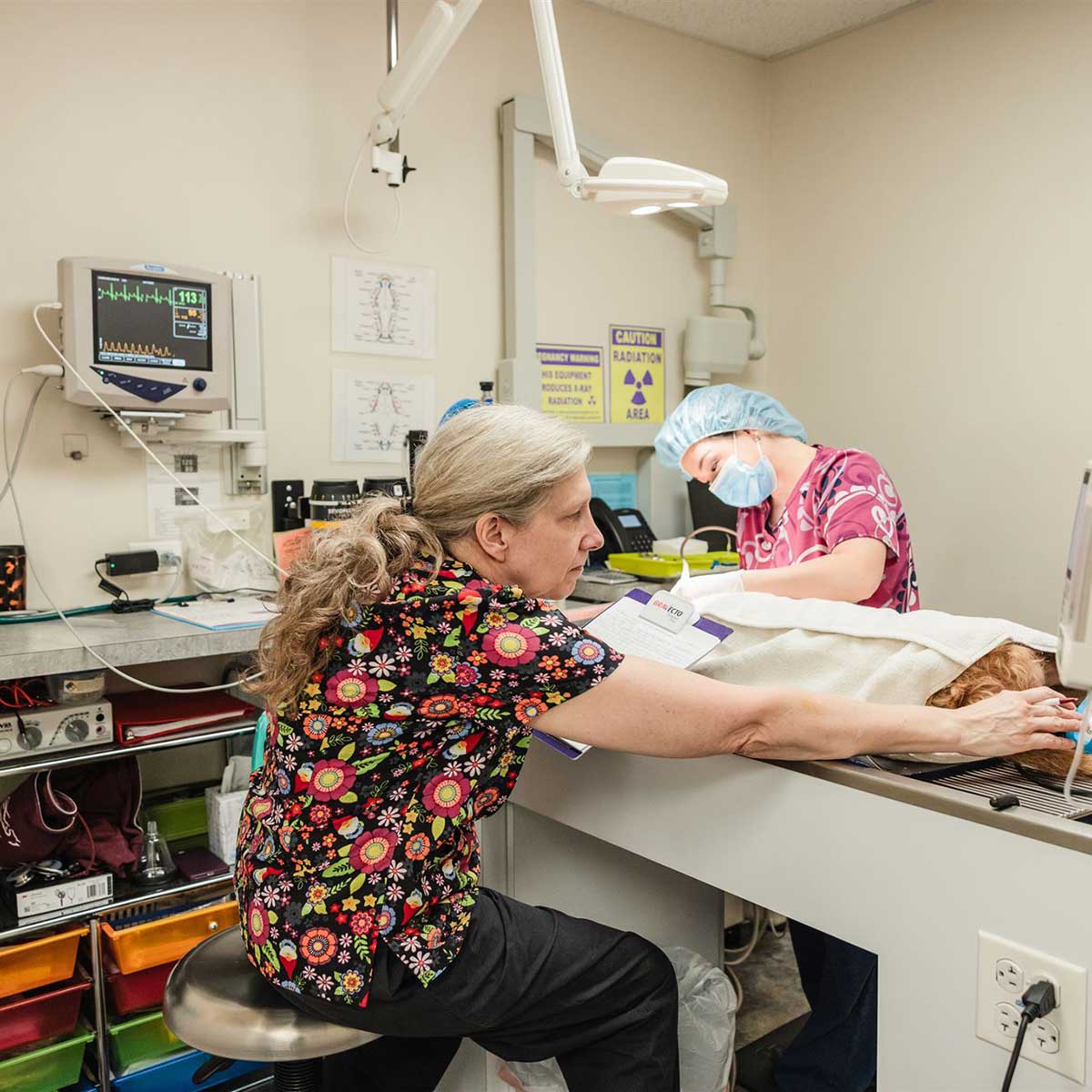 Soft Tissue Surgery & Dentistry