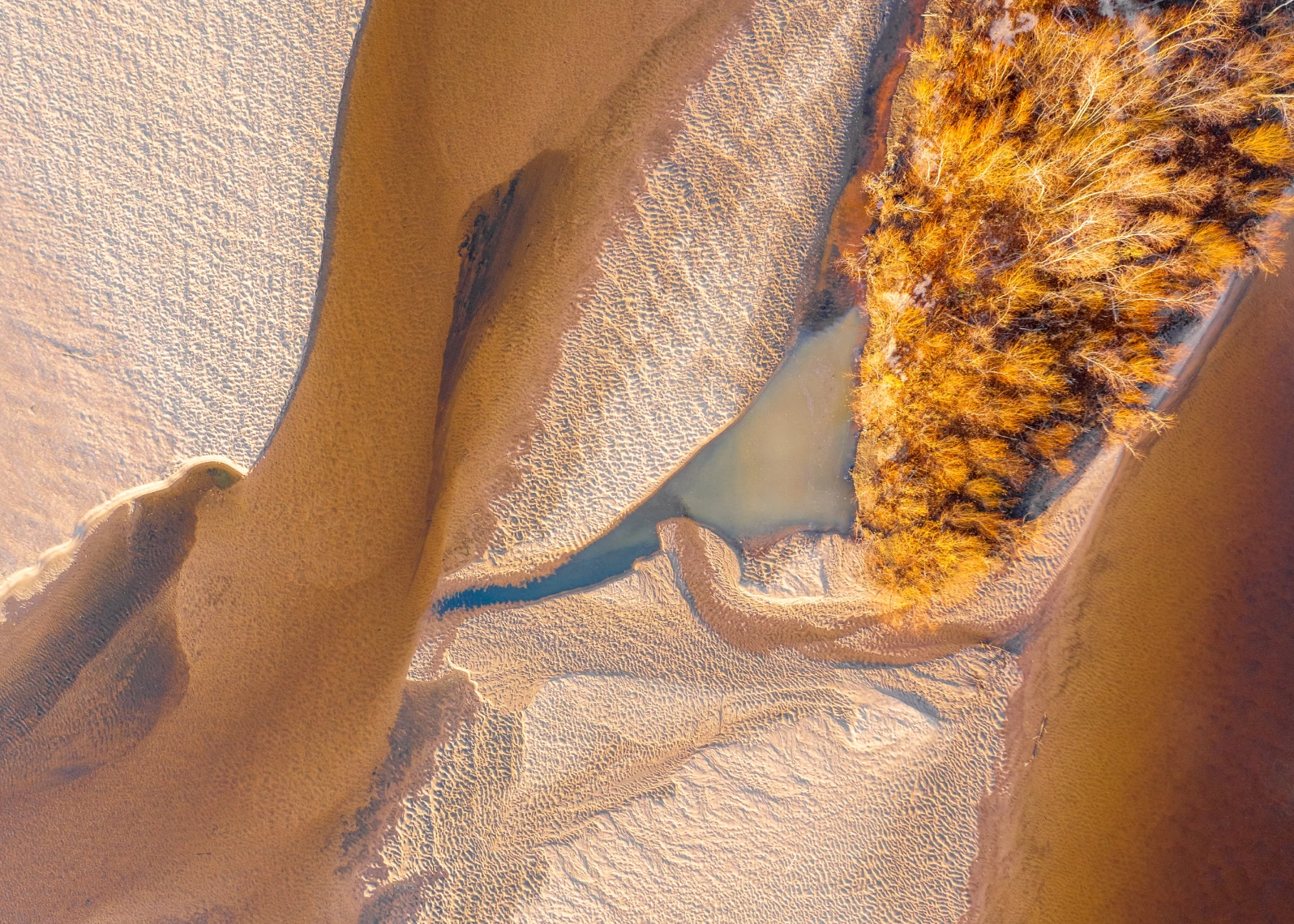 Employee Benefits Industry Experts - C2 Solutions