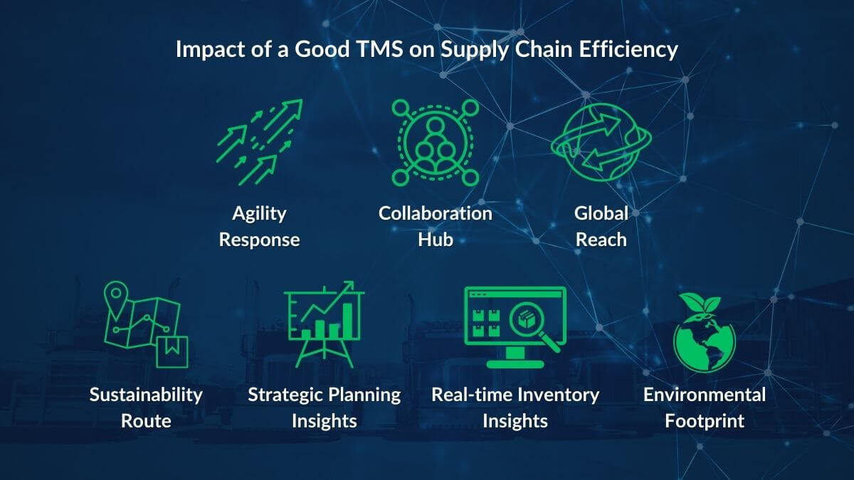 What Is Transportation Management System? The Best Free TMS 2024