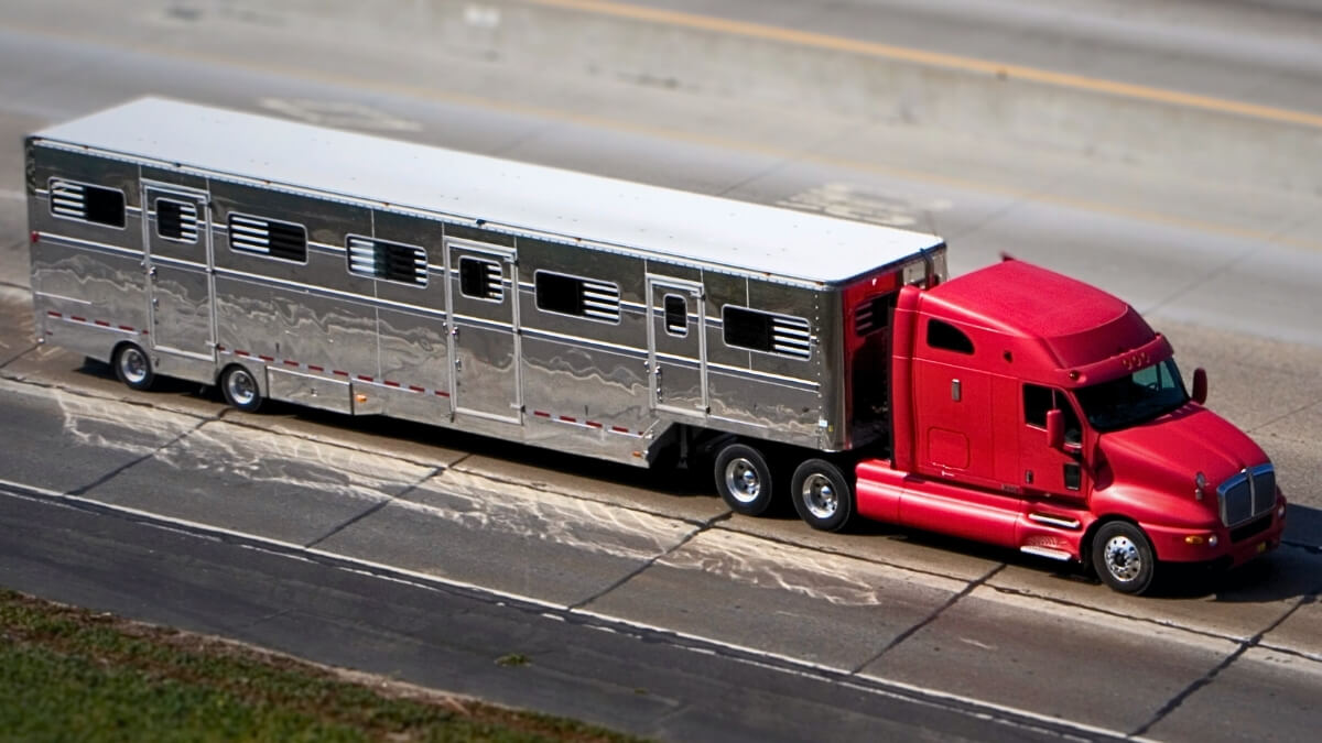 Different Truck Types in Freight: Every Freight Truck & Goods They Haul