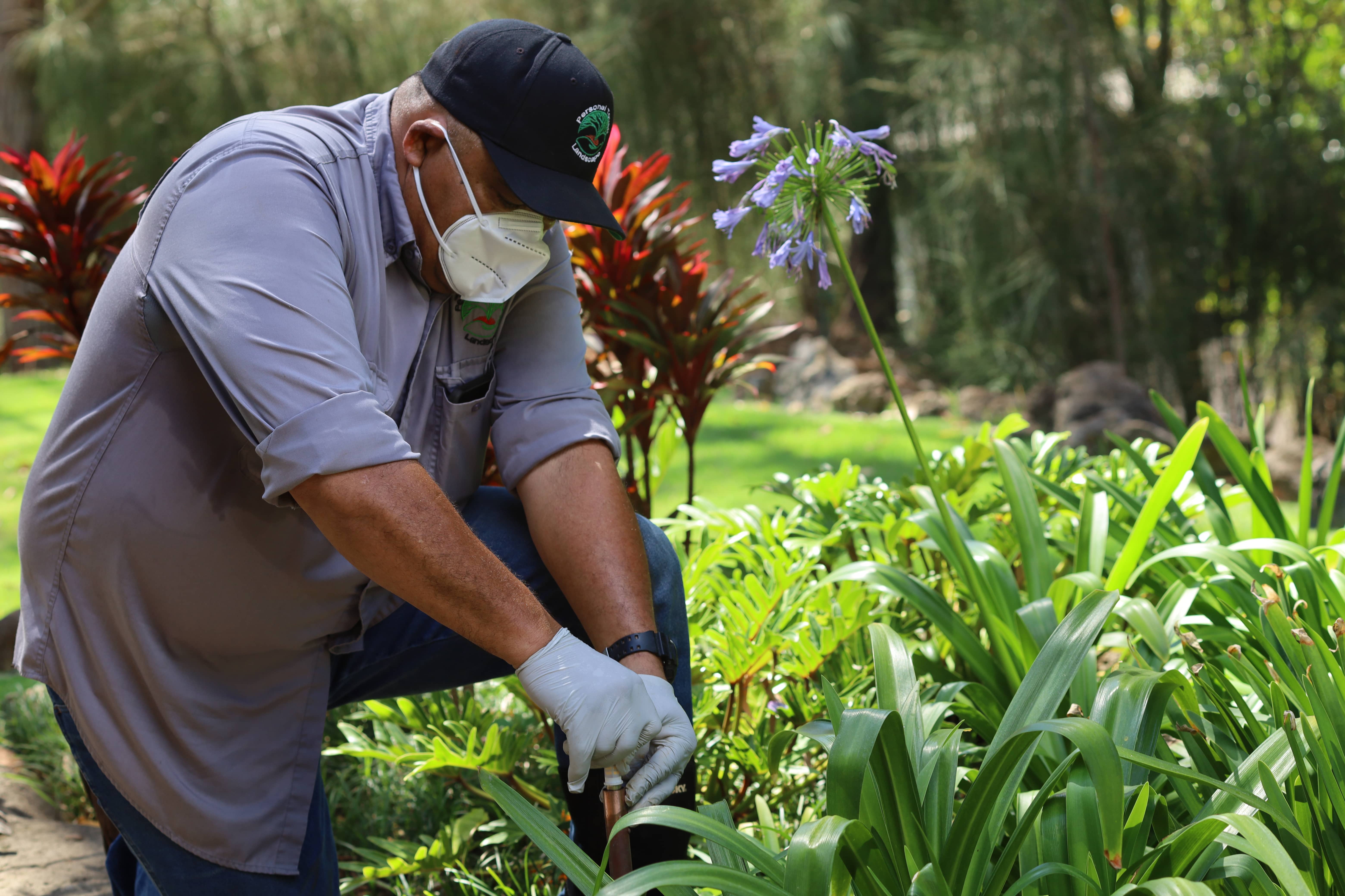 Elevate Your Outdoors: Expert Landscaping Services by Personal Touch ...