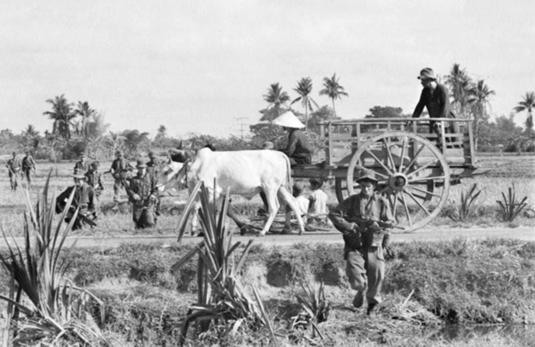 Vietnam War Timeline | Collie Cardiff RSL